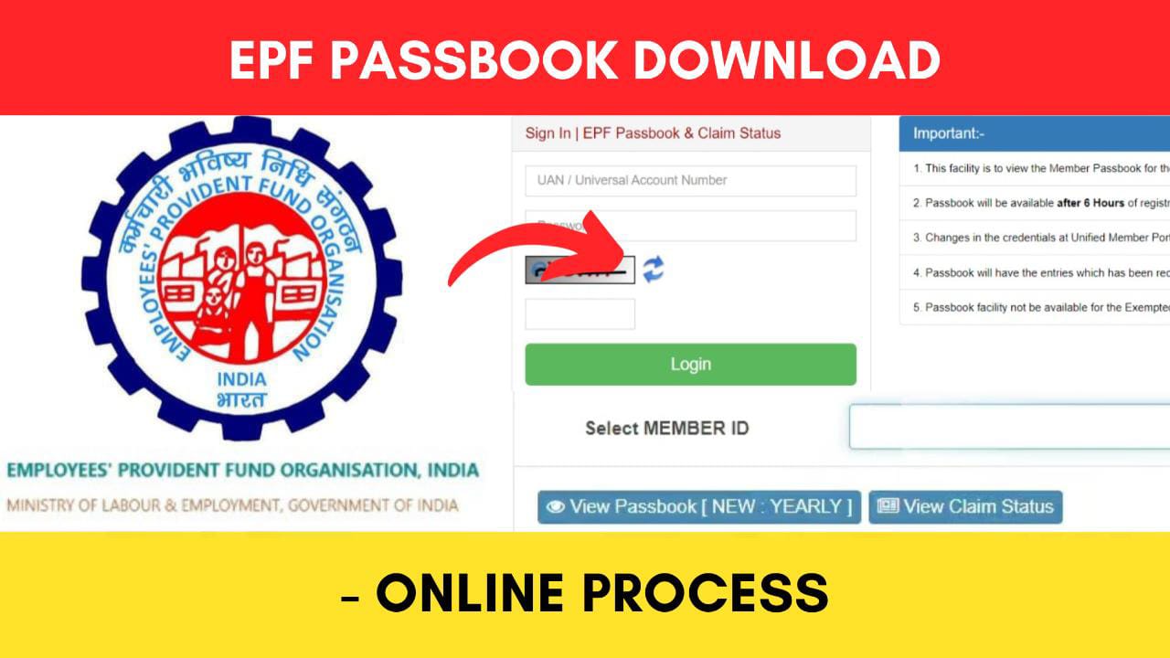 How To Download And Check Epf Passbook Online Dreamtrix Finance