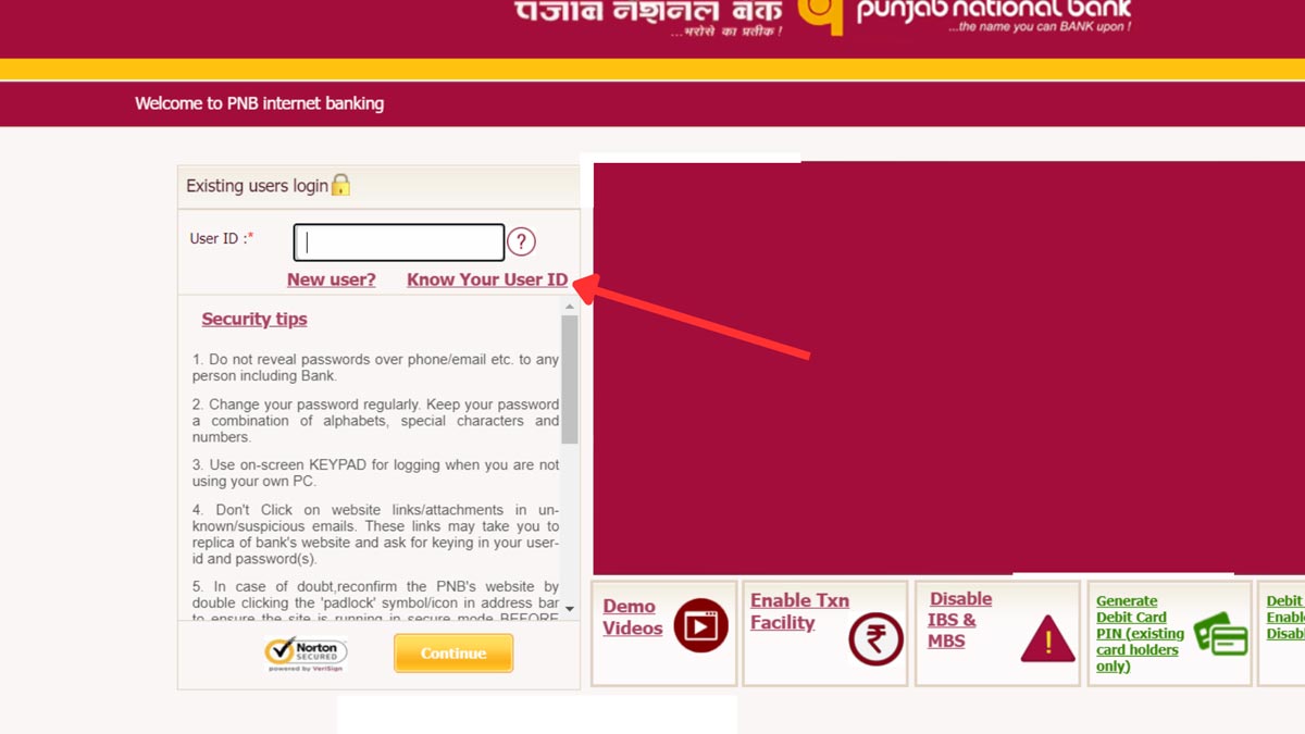 How To Know Your PNB Customer ID Online (In 4 Steps)