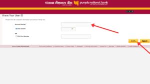 How To Know Your PNB Customer ID Online (In 4 Steps)
